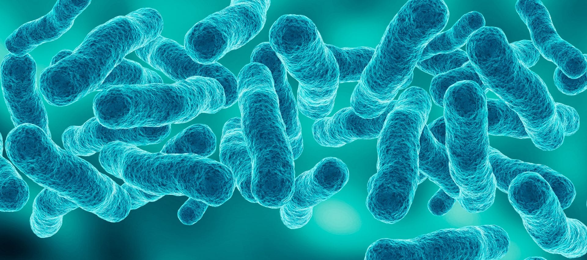 Legionella Malaga - Rapiplaga Malaga - Pest Control Services